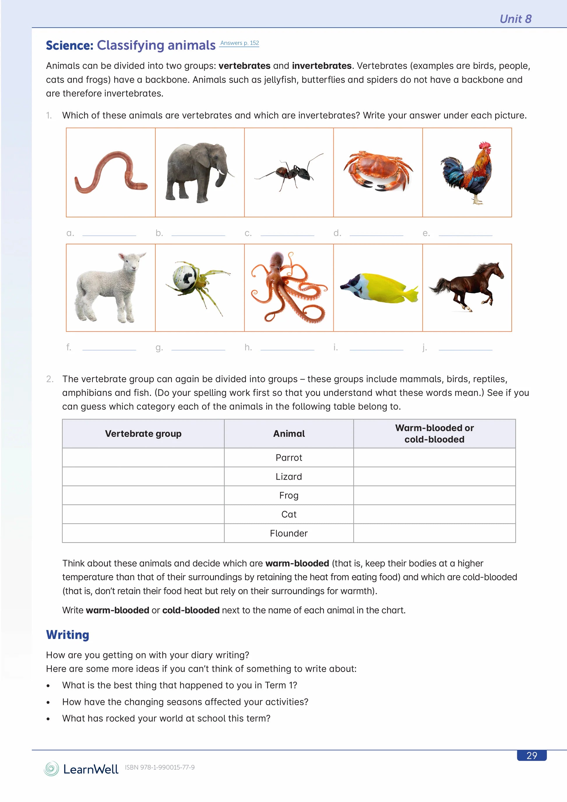 LearnWell Year 7 Homework Start Right Workbook – School Depot NZ LearnWell Year 7 Homework Start Right Workbook – School Depot NZ
